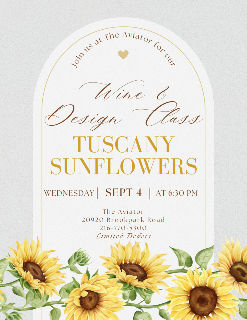 The Aviator Pub & Restaurant in Cleveland, OH - The Aviator Pub